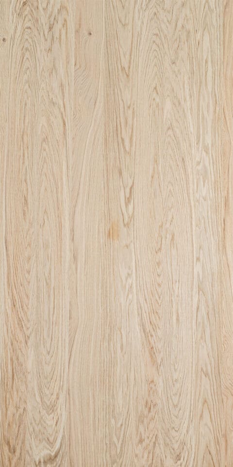 Encino Blanco - OYOSA