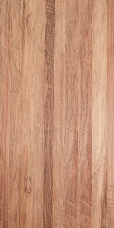 Tzalam Nacional - OYOSA